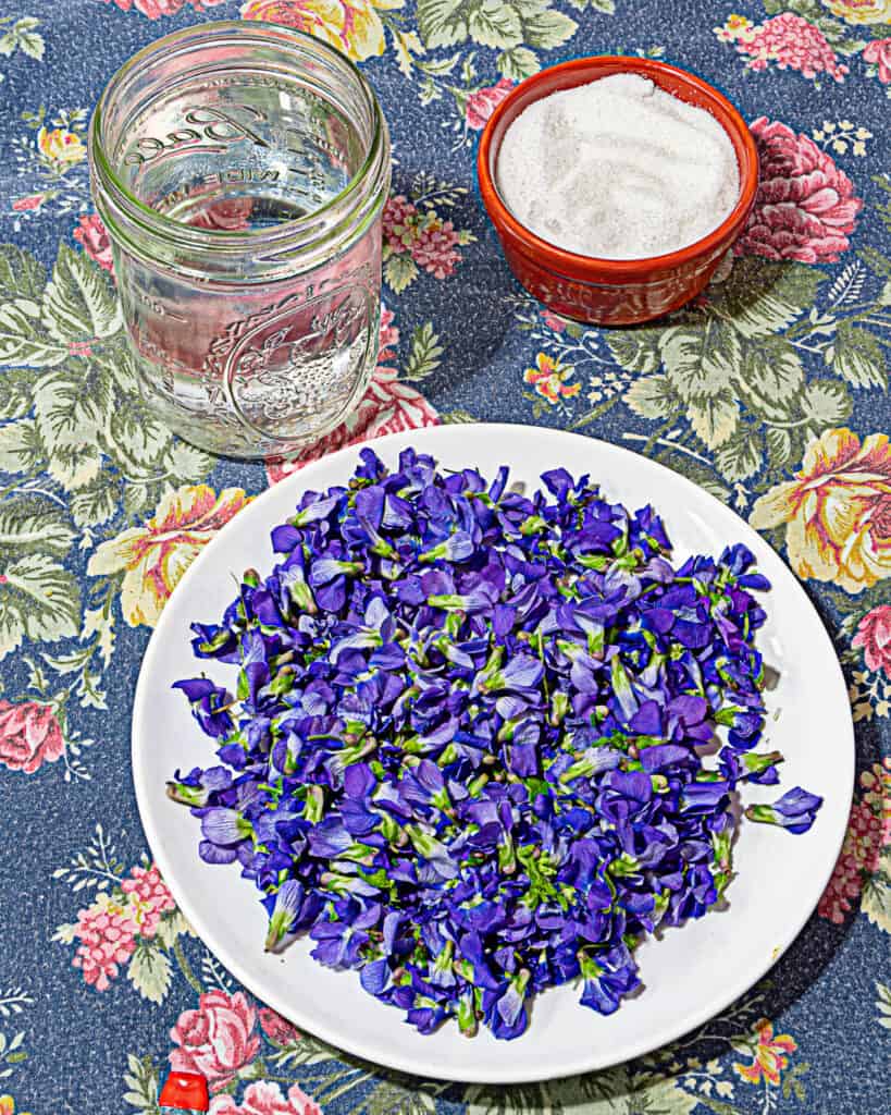 Purple Wild Violet Syrup » Slow Living Kitchen