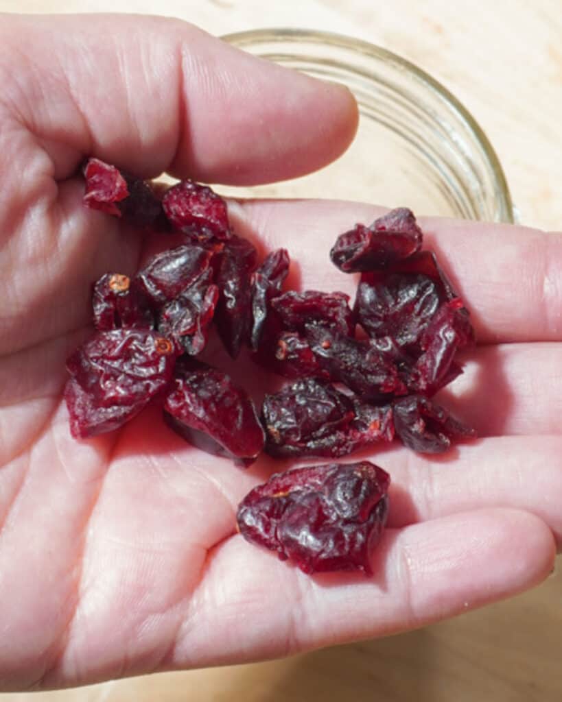 How to Dehydrate Cranberries » Slow Living Kitchen