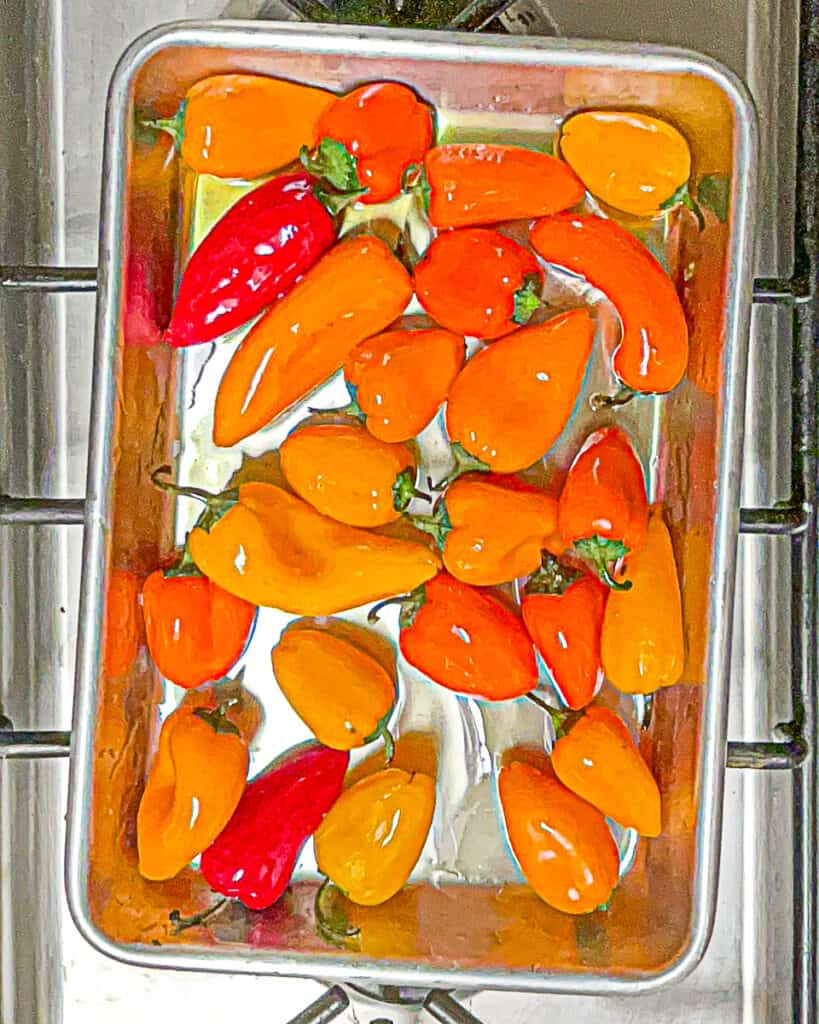 Sweet Roasted Mini Peppers » Slow Living Kitchen