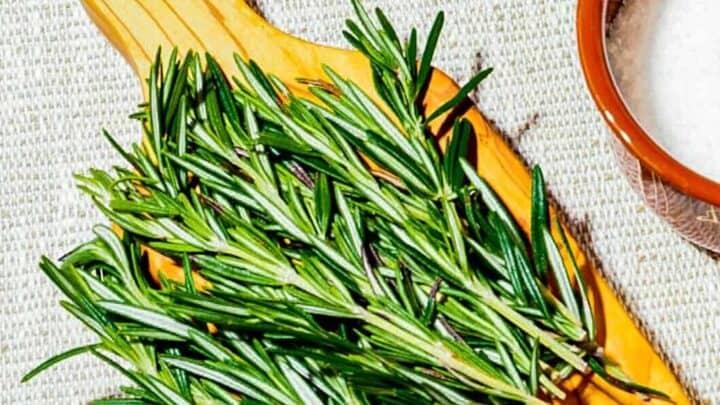 Chart For Converting Fresh to Dried Herbs » Slow Living Kitchen