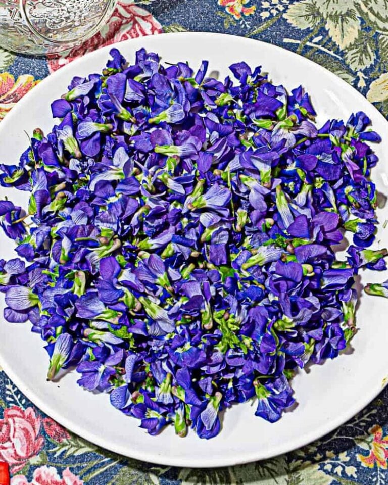 25 Edible Flowers to Grow, Cook, and Garnish With » Slow Living Kitchen